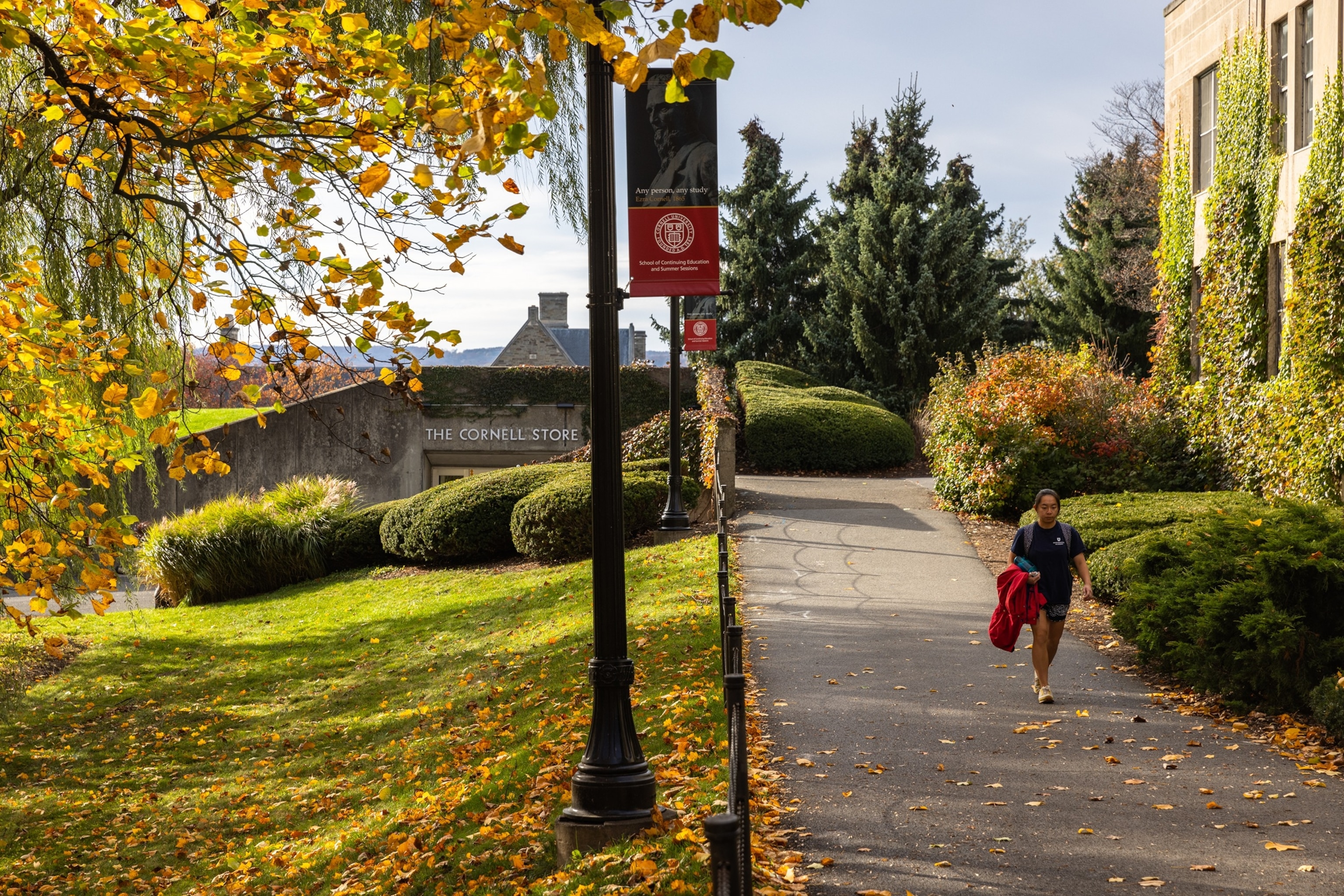 Cornell to pay $60M in Trump administration deal over frozen research funds