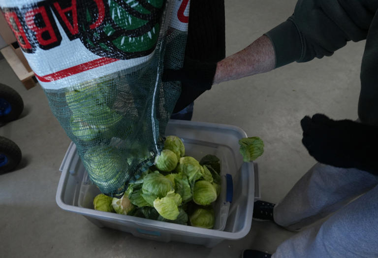 Louisville food deserts are making 'radical' moves necessary | Opinion