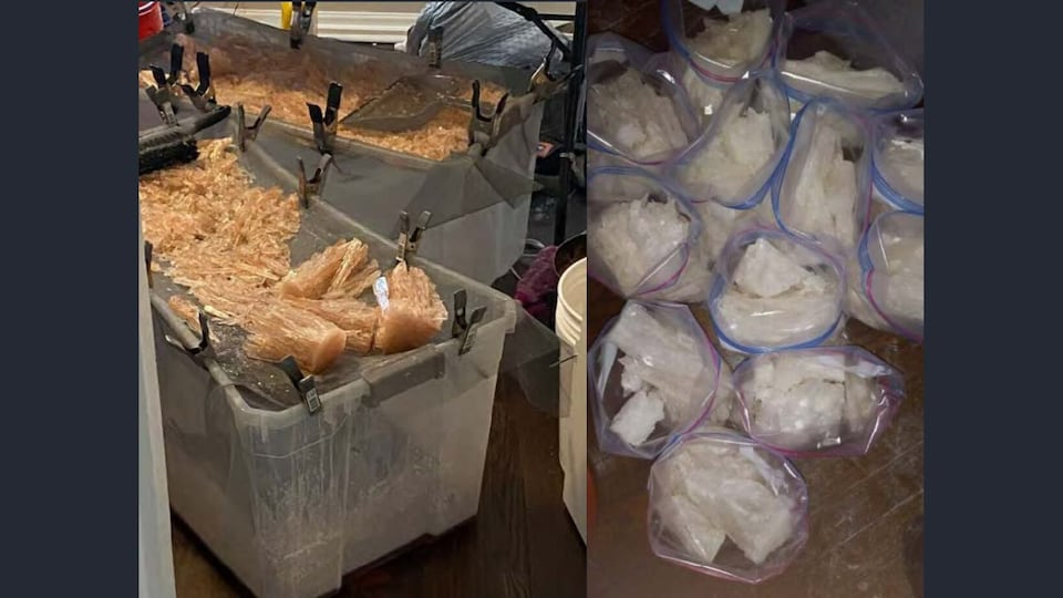 ‘Contraband cell phones:’ Drug trafficking network operating out of ...