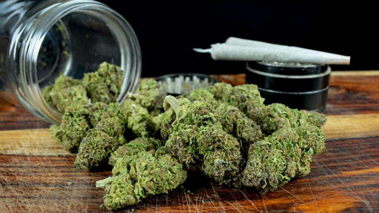 Virginia Beach prepares for a potential marijuana market; city council ...