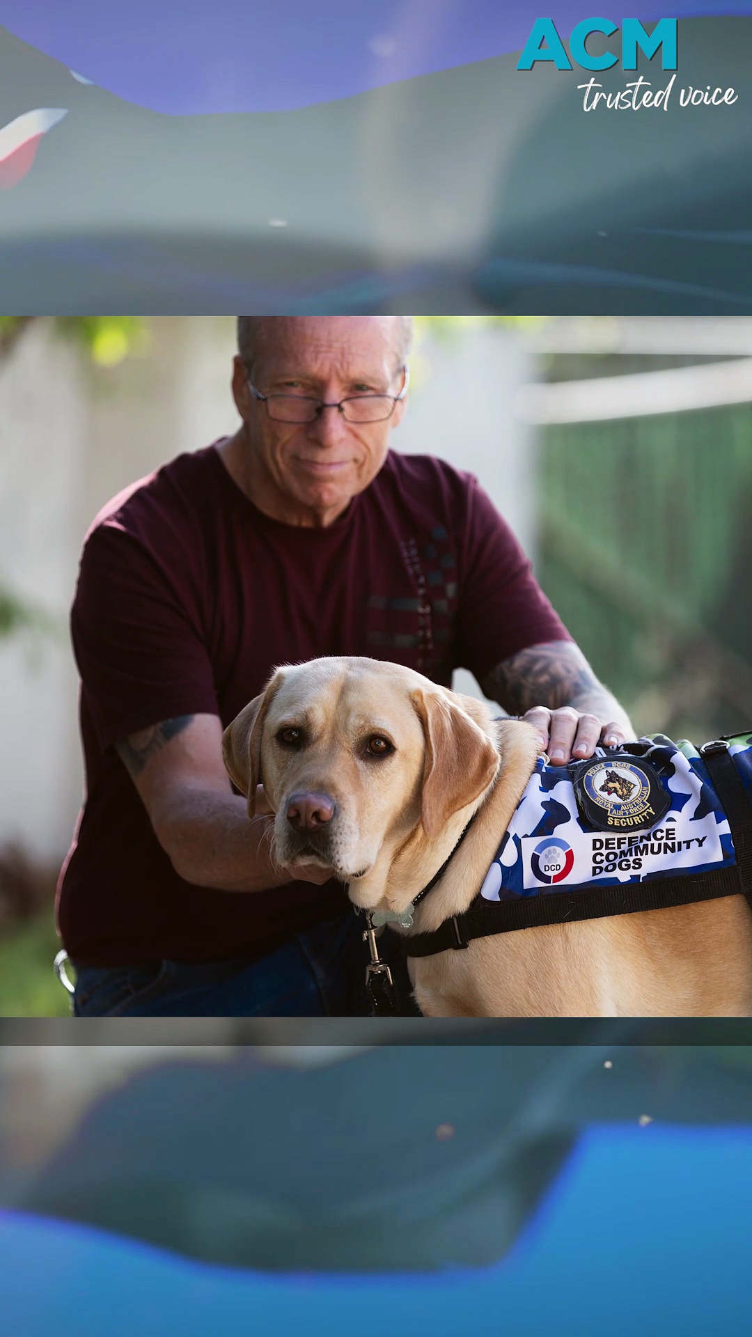Twix: the dog who saved a veteran’s life