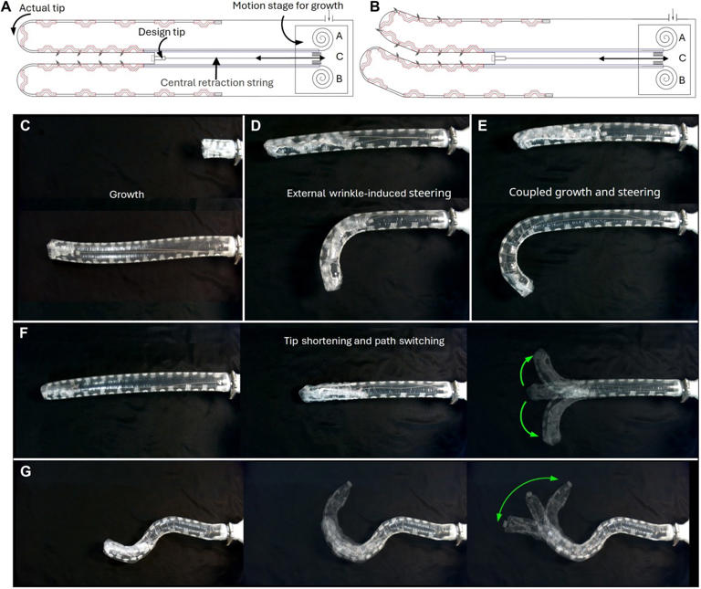 Engineers unlock precise shape-shifting motion for soft robots with fewer motors