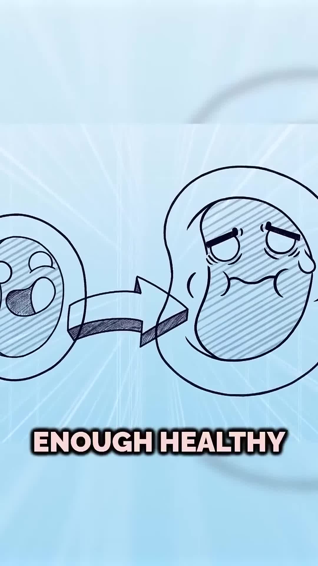 What really happens inside your stomach?