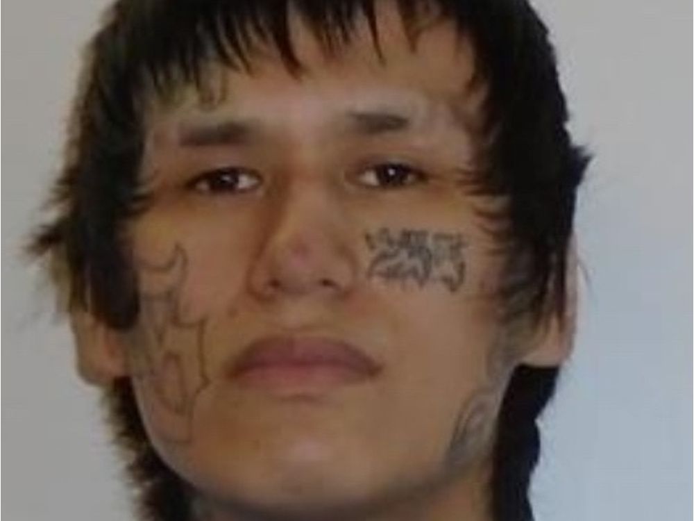 RCMP work to identify victims in triple homicide near Turtleford