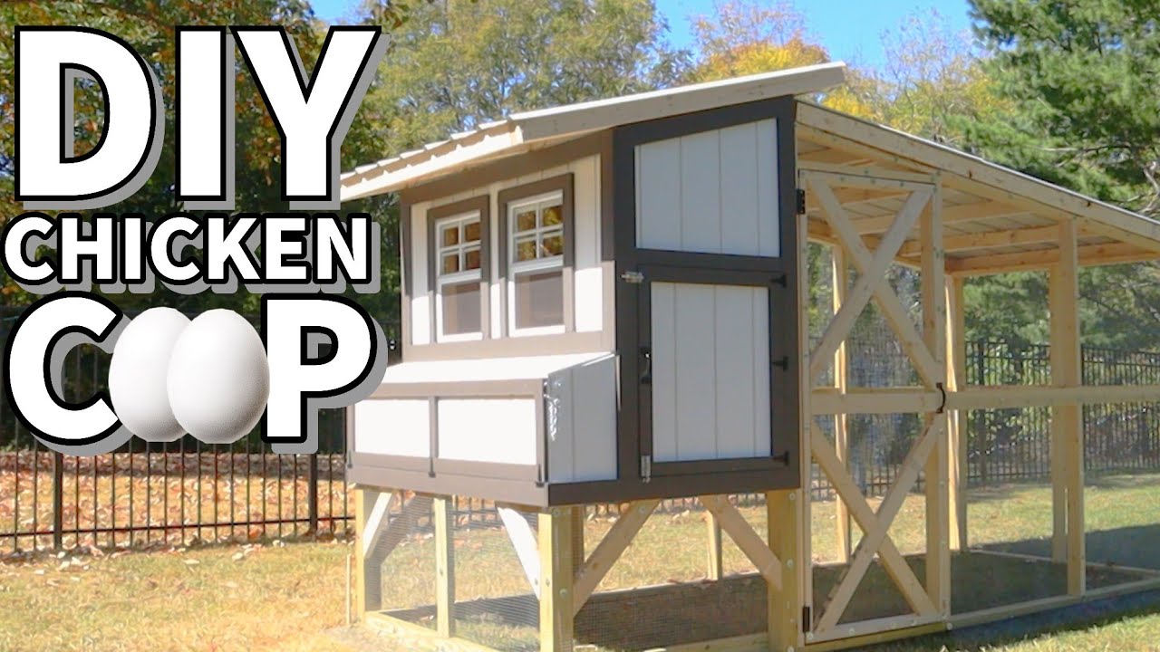 DIY backyard chicken coop