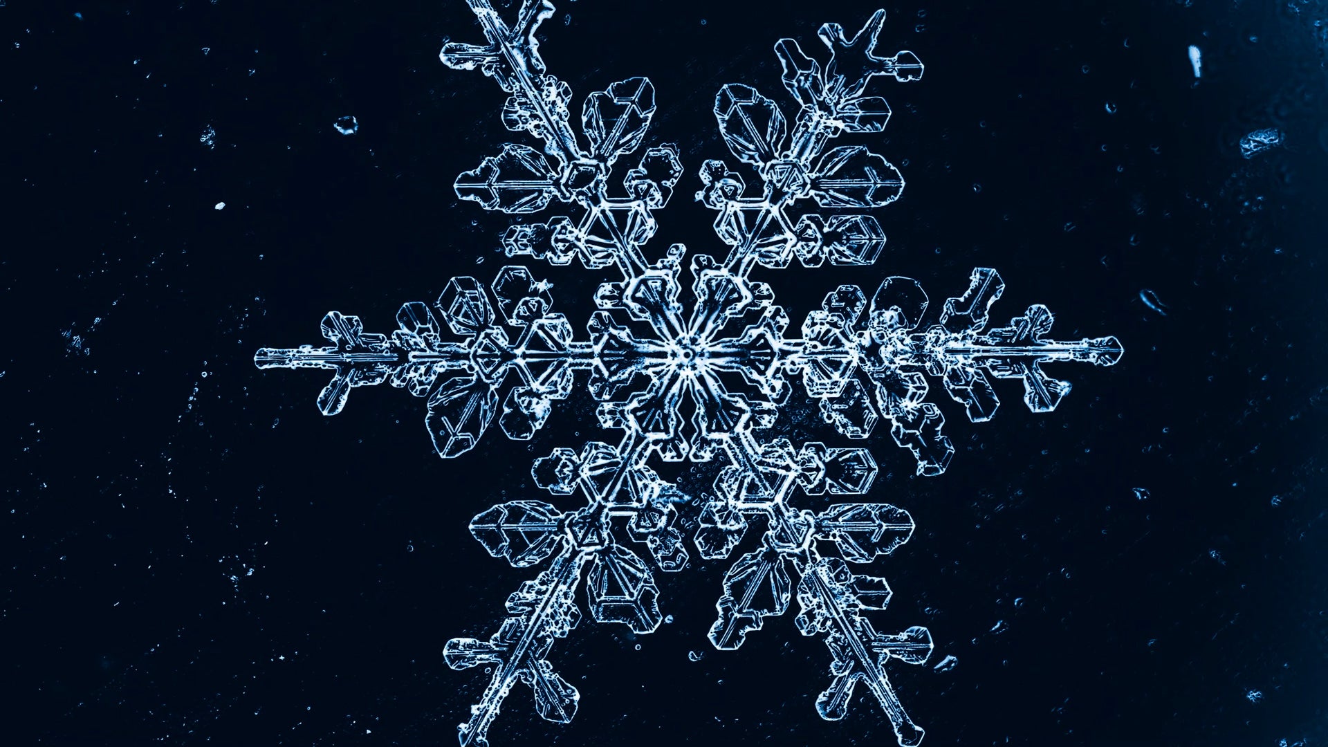 10 Interesting Facts About Snow That May Surprise You