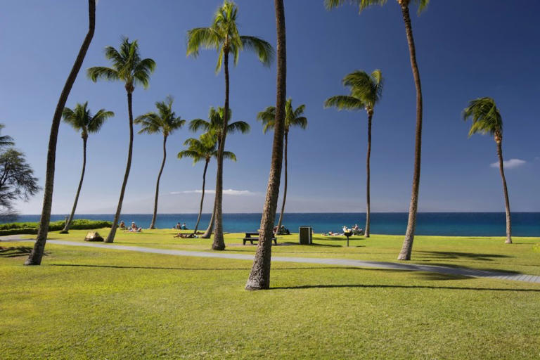 62 best things to do in Maui with kids (2026 guide by a Hawaii expert)