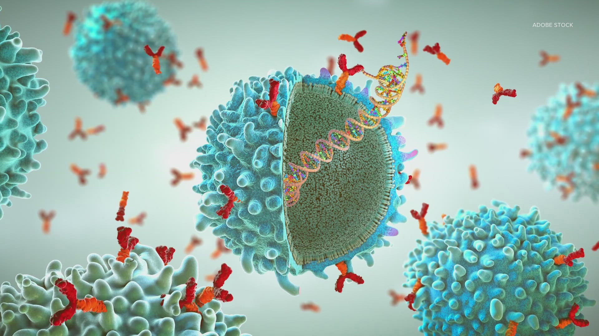 Study shows mRNA vaccine enhances cancer immunotherapy treatment ...