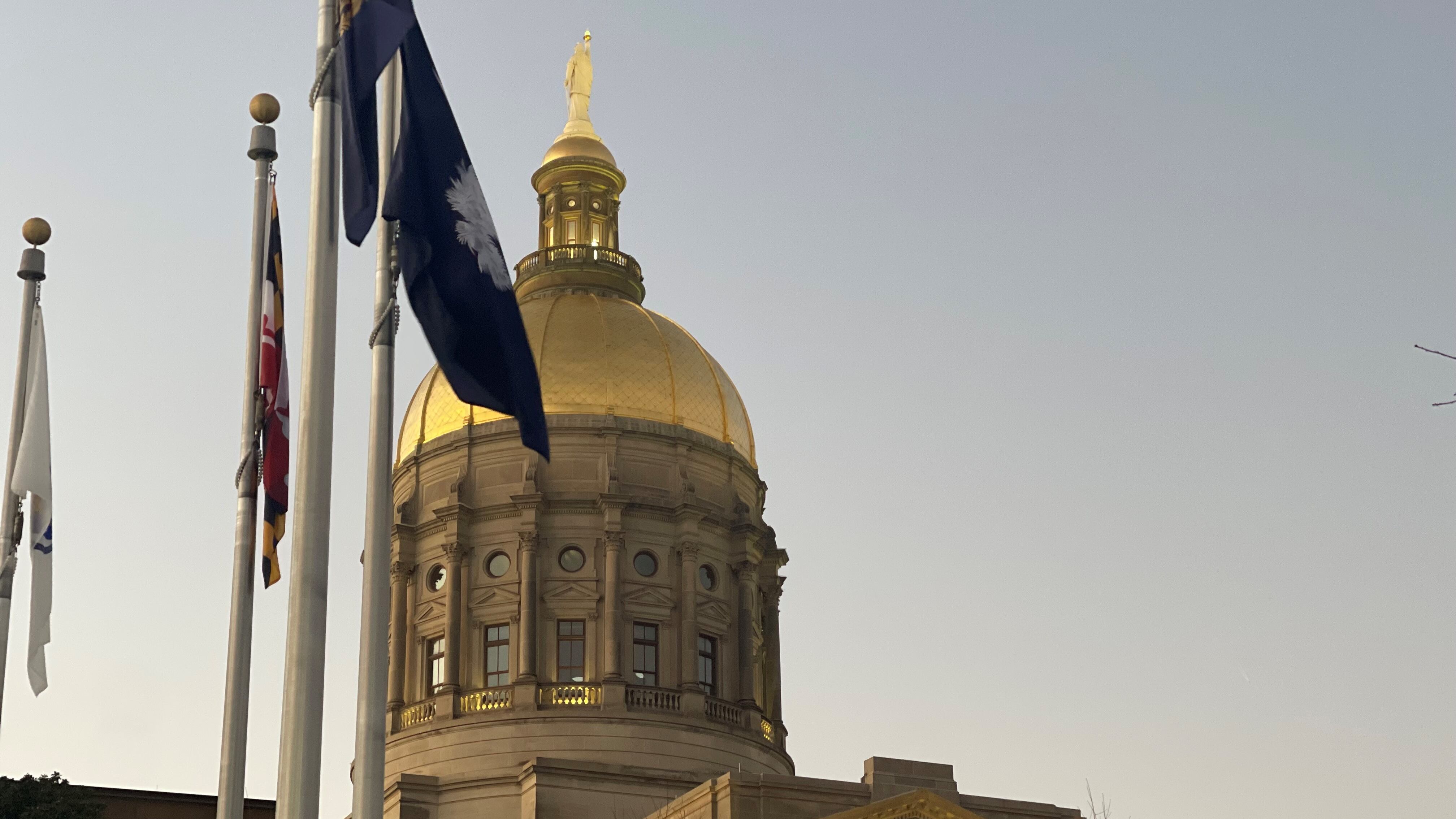 Georgia Senators vote against stopgap funding bill