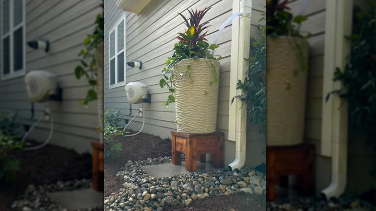 Ditch Industrial-Looking Rain Barrels For An Elegant Alternative With ...