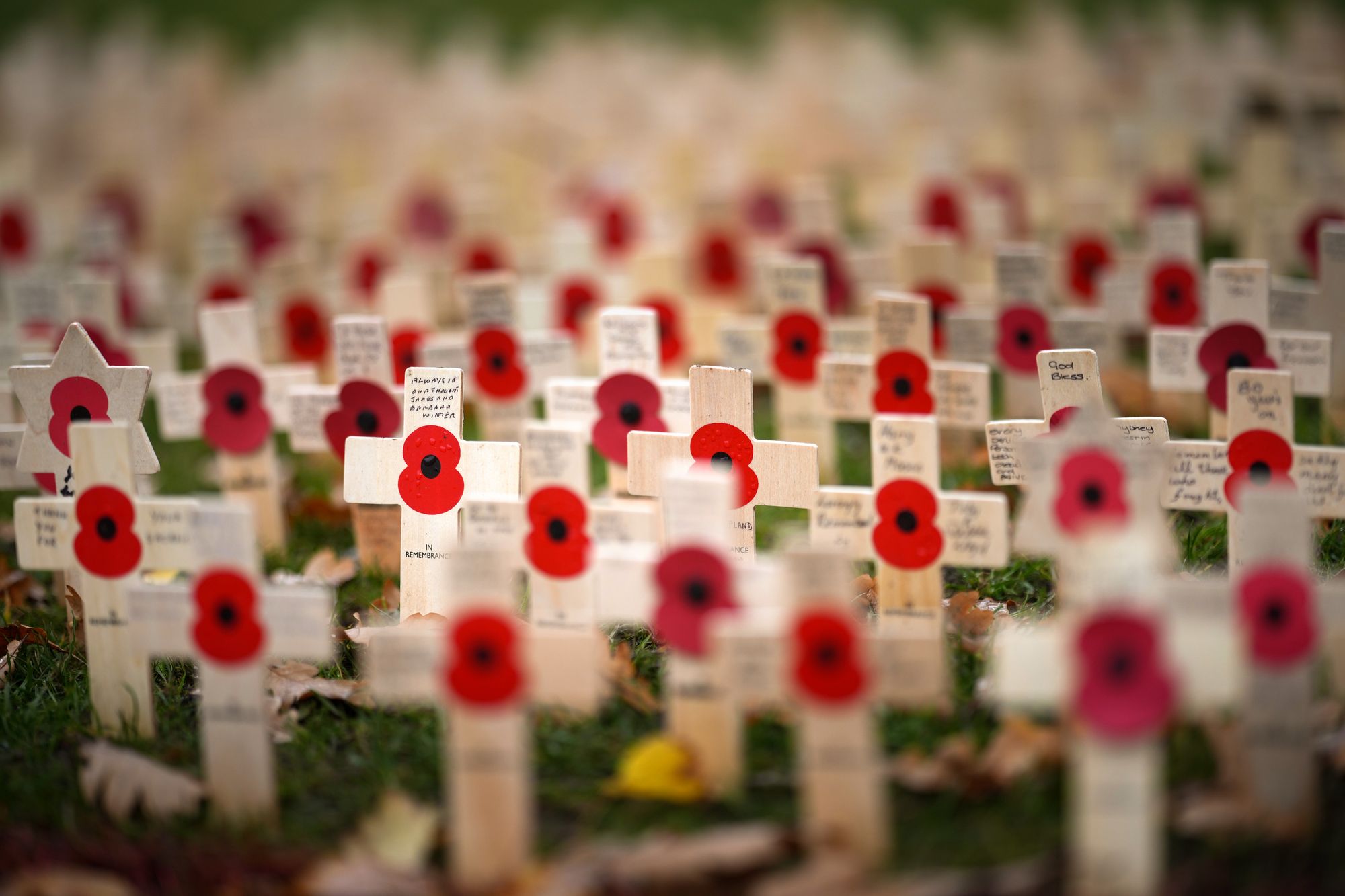 Remembrance Day: Wearing a poppy is not a political act, but a human one