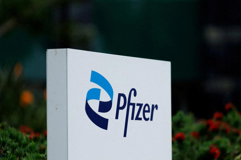 Pfizer, Valneva report strong efficacy data from Lyme vaccine trial