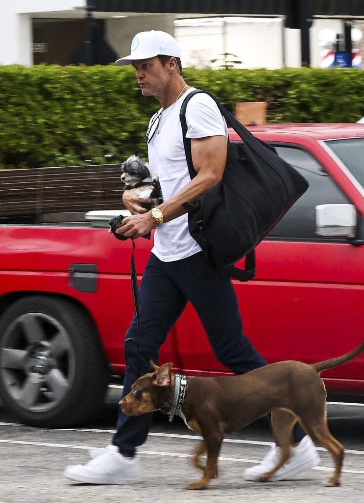 Tom Brady reveals his new dog Junie is a clone of beloved late pet Lua