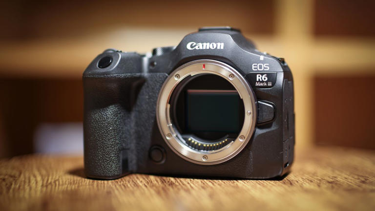 Canon EOS R6 Mark III sample photo gallery: See what Canon's 32.5MP ...
