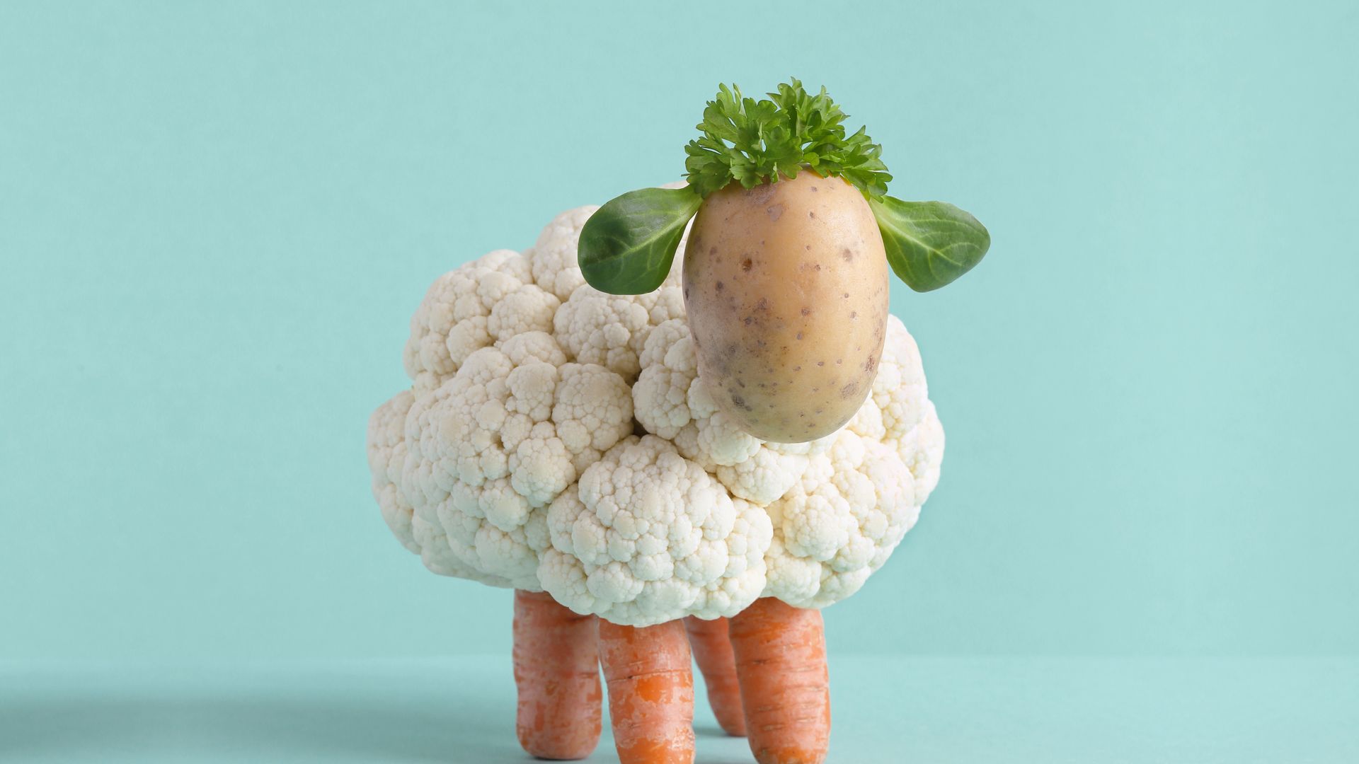 Wie gesunde Ernährung und guter Schlaf einander bedingen – Podcast mit Ingo Fietze