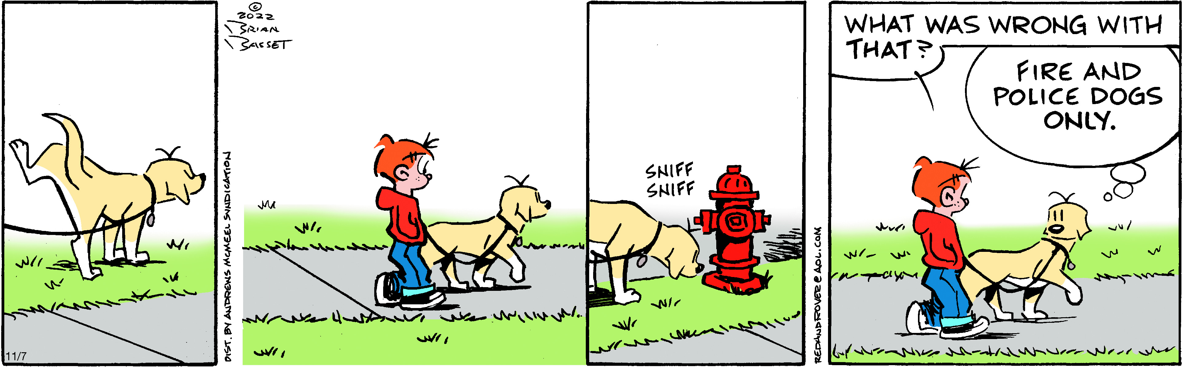 Red and Rover by Brian Basset