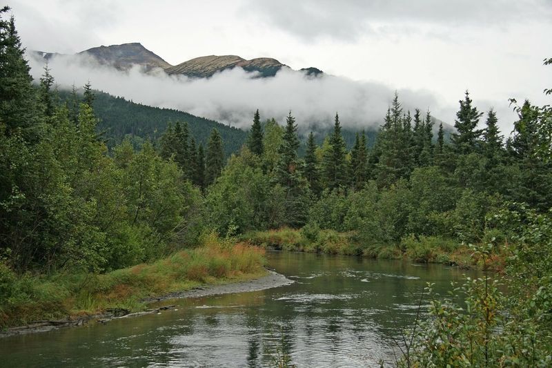 The Best Thing About Every U.S. State, According to Locals