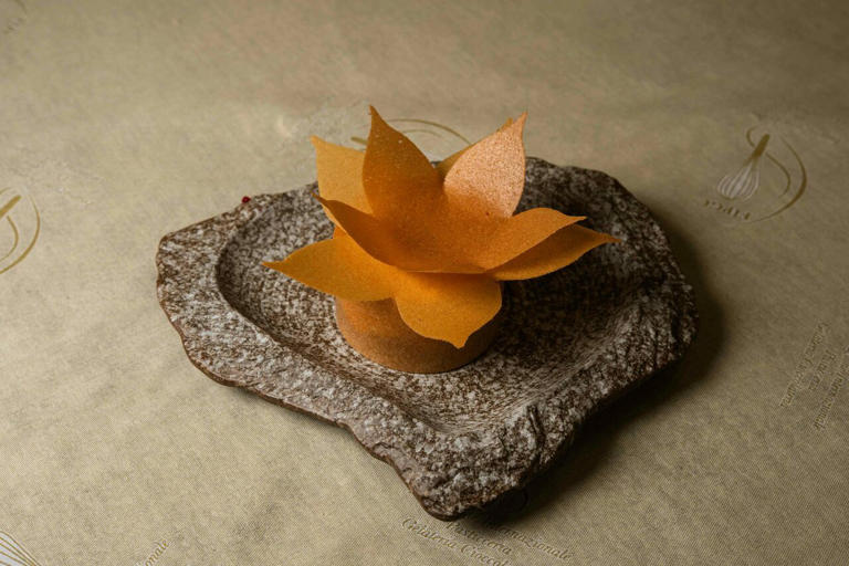 Tiramisù, qual è il migliore al mondo: trionfa il Giappone, l'Italia è seconda con Milena Russo ...