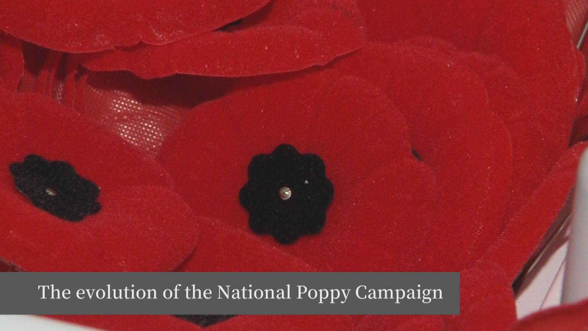 Evolution of the Poppy Campaign