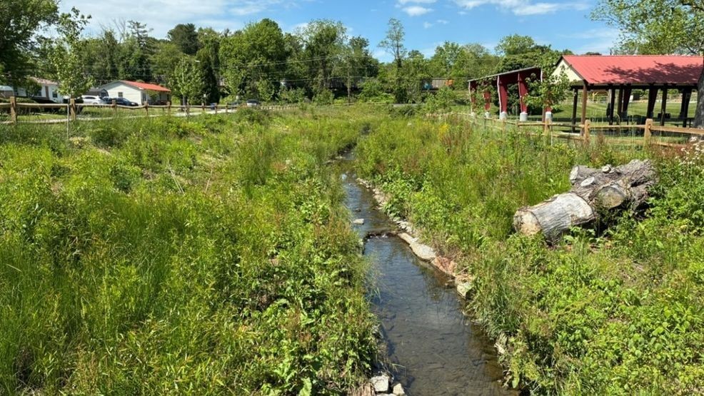 Hendersonville's Brooklyn Creek restoration named 2025 Stormwater ...
