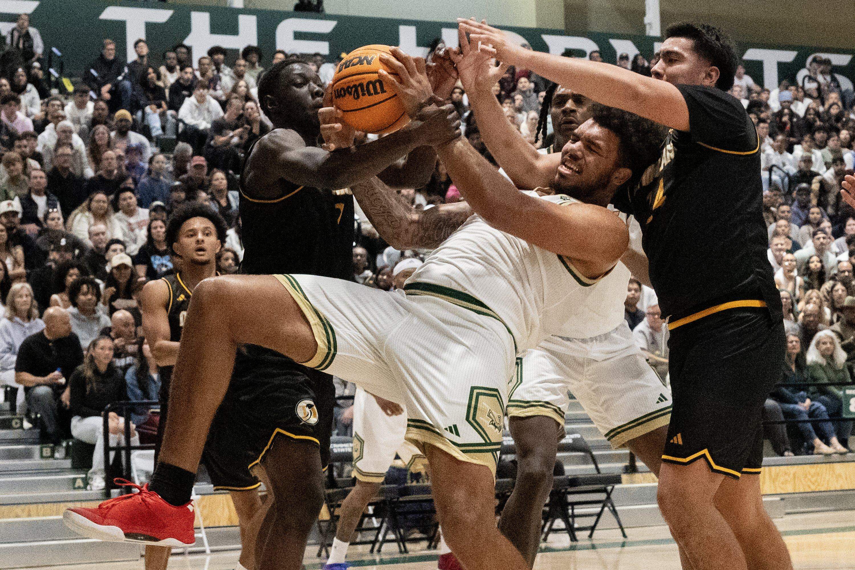 Sac State's ‘Bear' could be the Cherry on top for new-era Hornets hoops