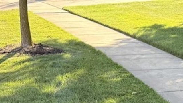 Homeowner dismayed as neighbor causes property damage: 'It's a bummer'