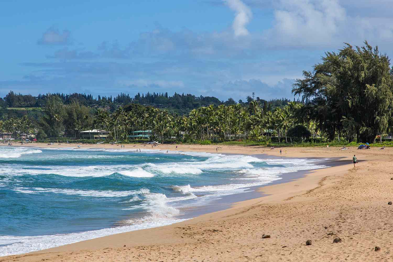 Off-Duty Lifeguard Bitten by Shark While Surfing Saved After He Was ...