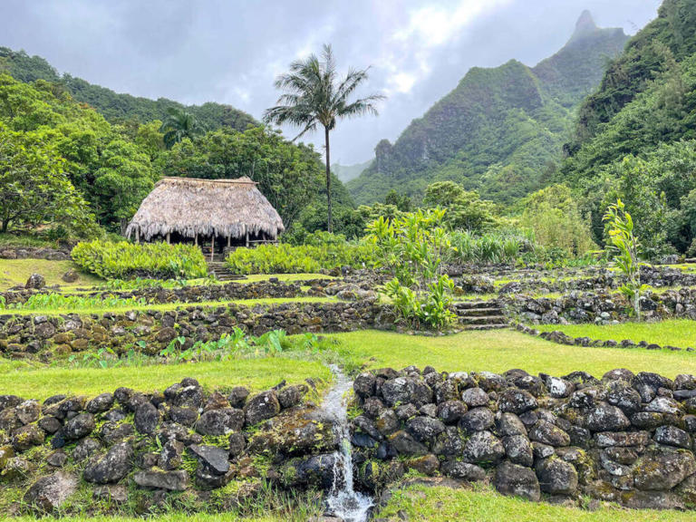 Is Limahuli Garden worth it? The honest truth about visiting Kauai's ...