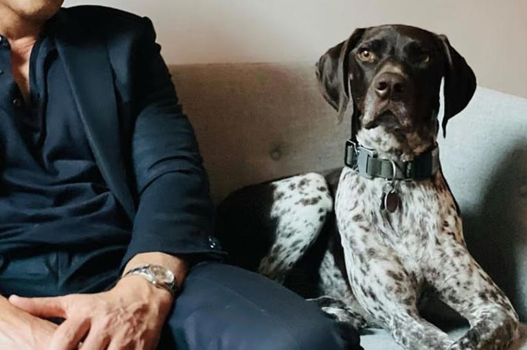 David Muir opens up about the early days of his career and those who ...