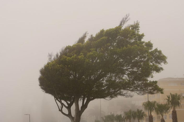 New Jersey braced for wild winds and bitterly cold snap thunderstorms