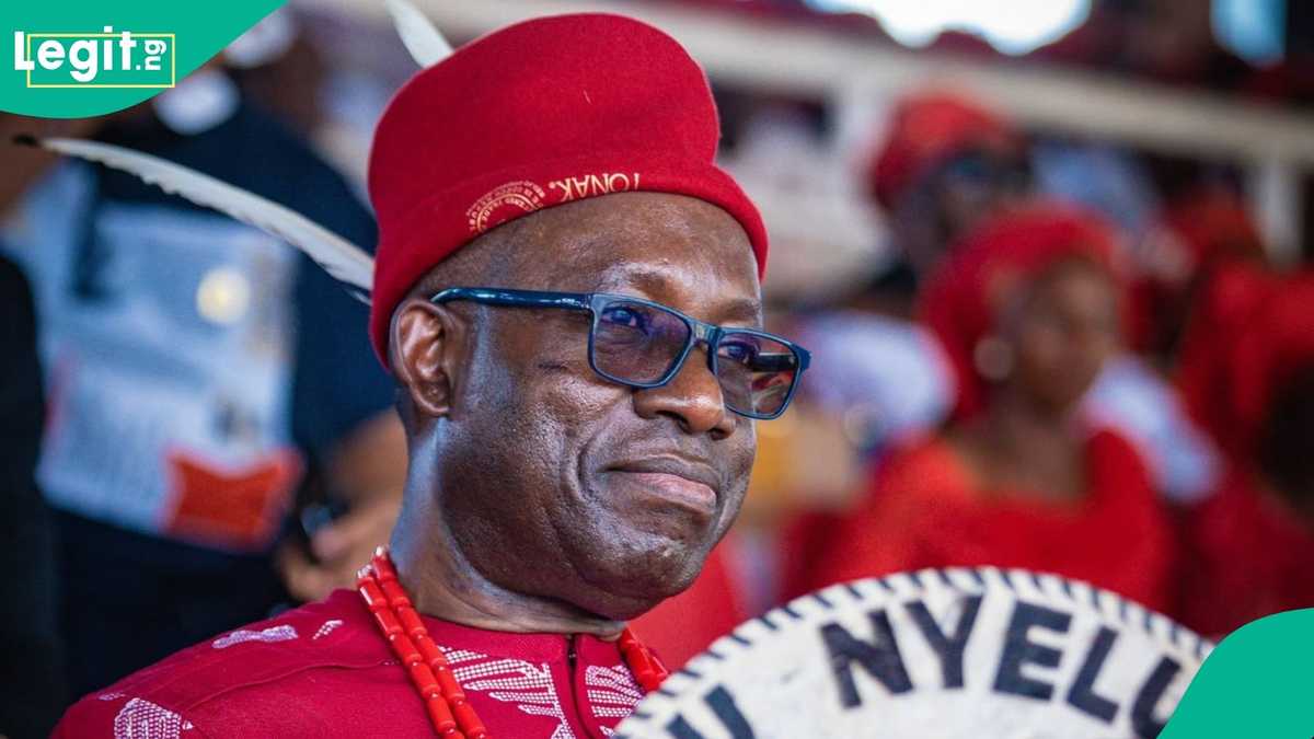 Opinion: Soludo’s cow-tail remark and the politics of lowered ...
