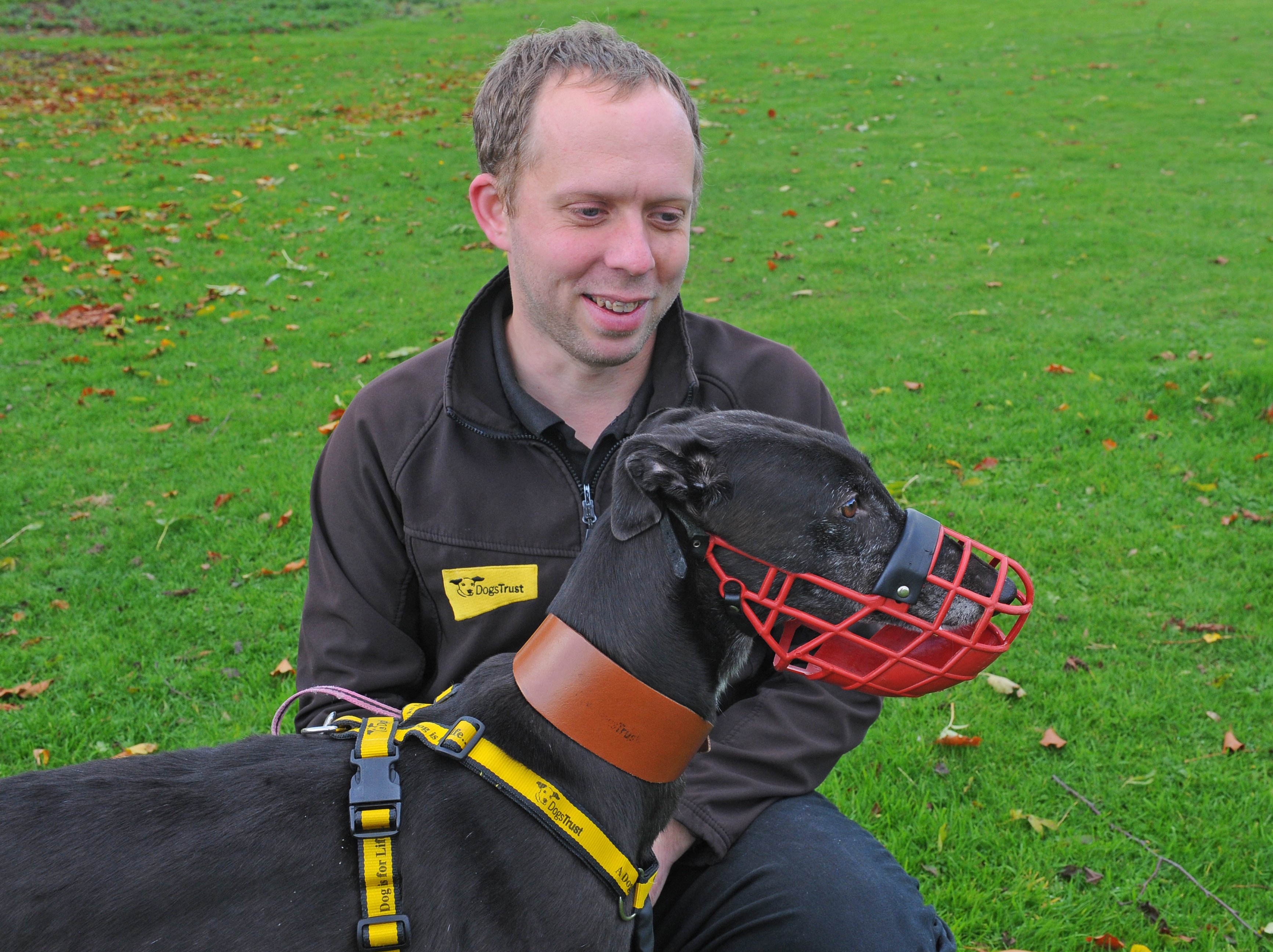 Could you give a dog a second chance? Dogs Trust Leeds appeals for ...