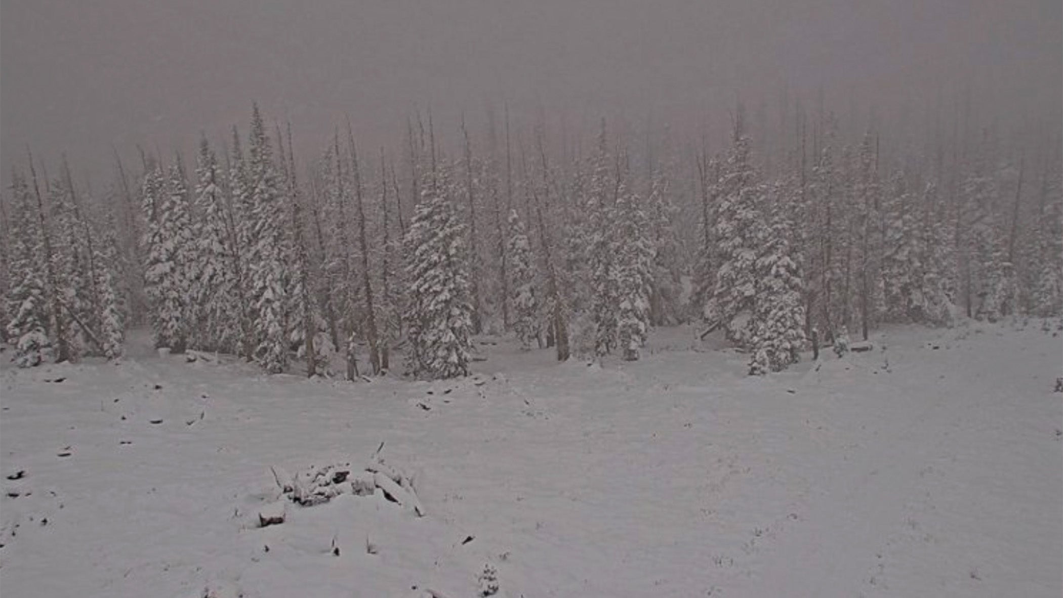 Snowfall is coming soon; 5 snow facts you may not know