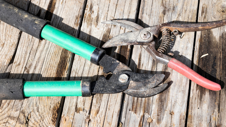 Are Used Garden Tools Safe To Use? Here's What We Know