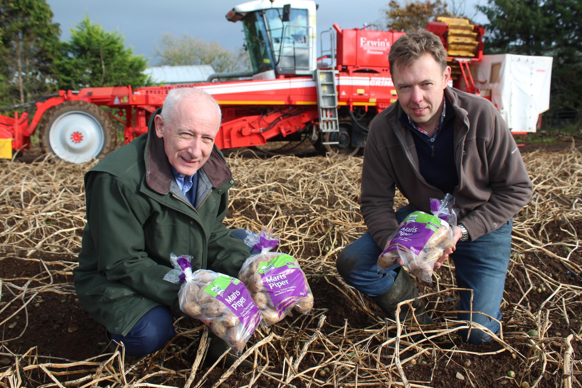 Maincrop potato harvest in Northern Ireland now 80% completed