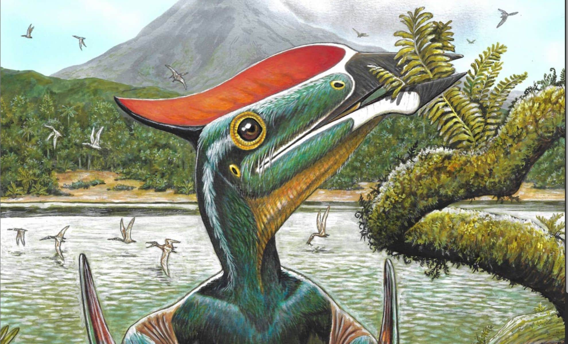 Sinopterus atavismus: The Pterosaur That Defied Expectations with a ...