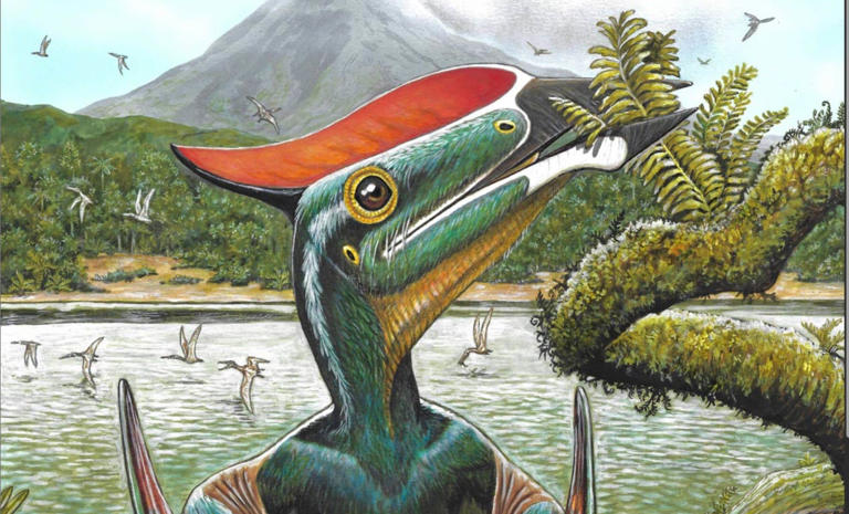 Sinopterus atavismus: The Pterosaur That Defied Expectations with a ...