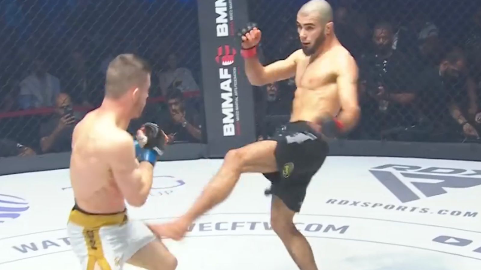 Muhammad Mokaev Scores Explosive Head Kick Knockout to Capture Brave CF ...
