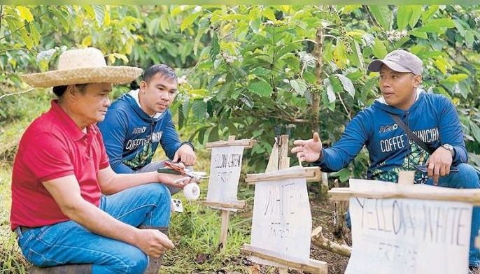 How regenerative farming is transforming Sultan Kudarat’s coffee industry