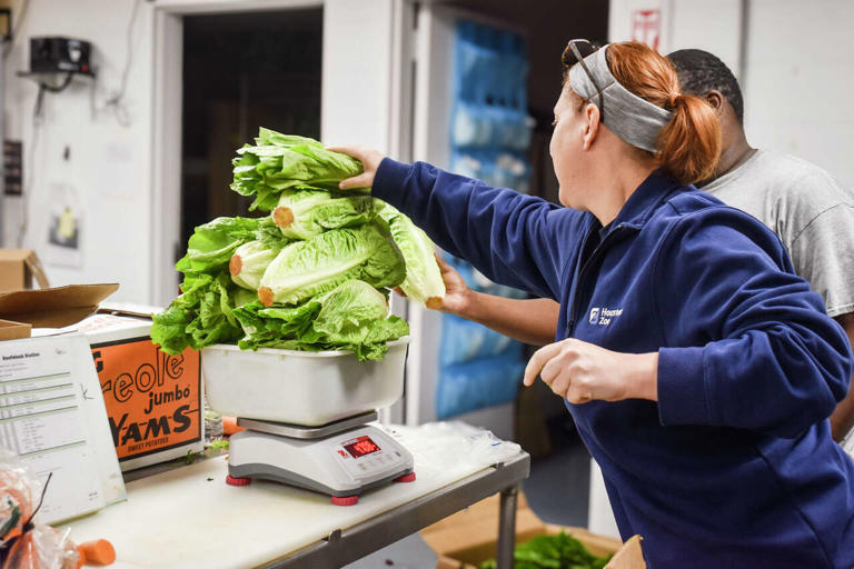 Houstonian returns to the city as the Zoo's first ever nutritionist