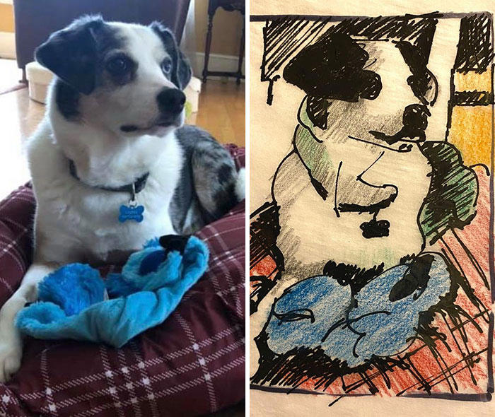 Humane Society Promises To Make A Bad Original Drawing Of Your Pet For ...