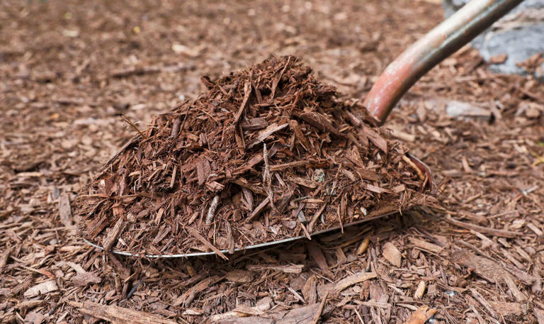 When Is It Too Late To Mulch Your Garden This Fall?