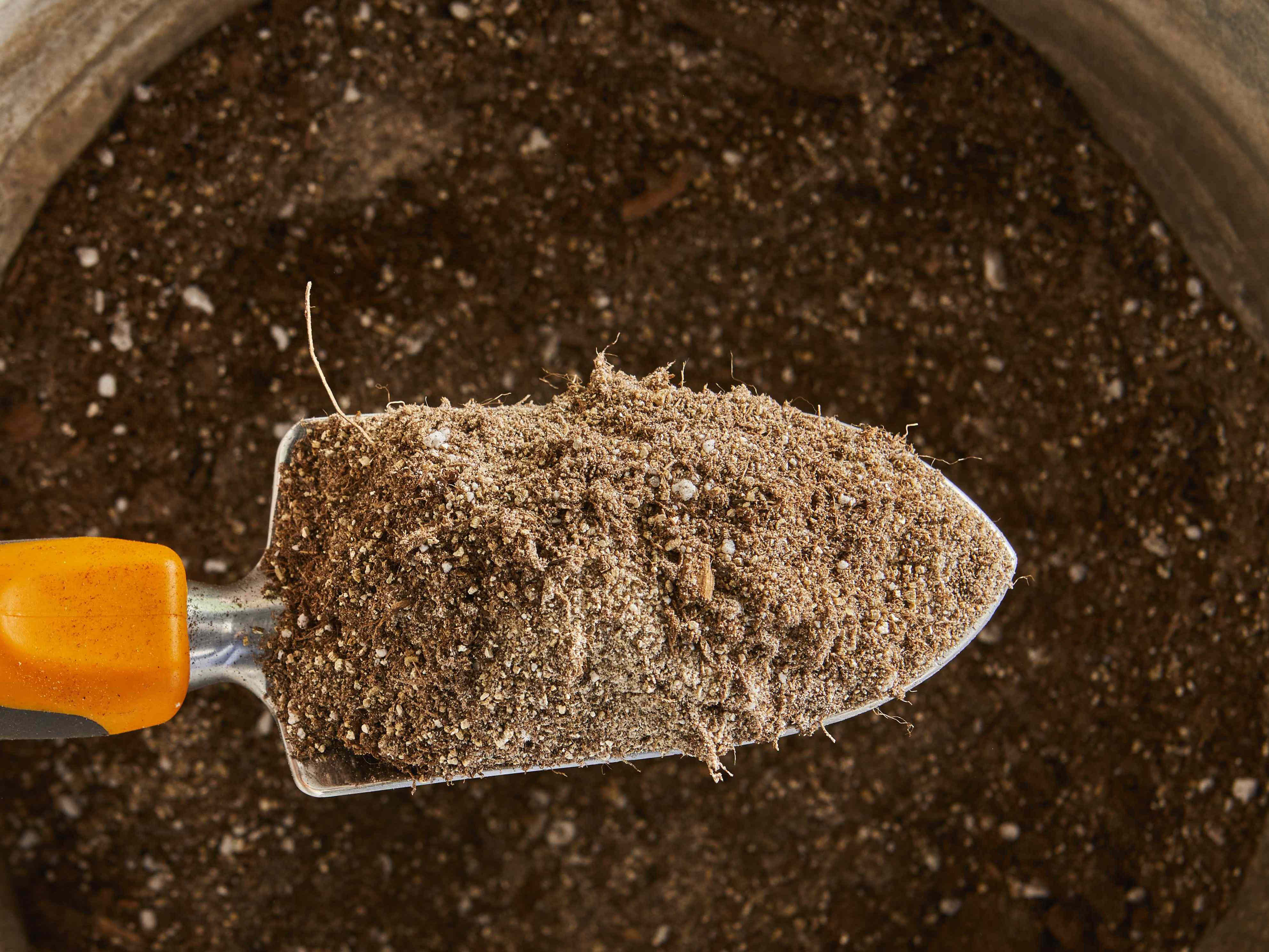 Should You Toss Potting Soil in Fall or Save It for Spring? Here's the ...