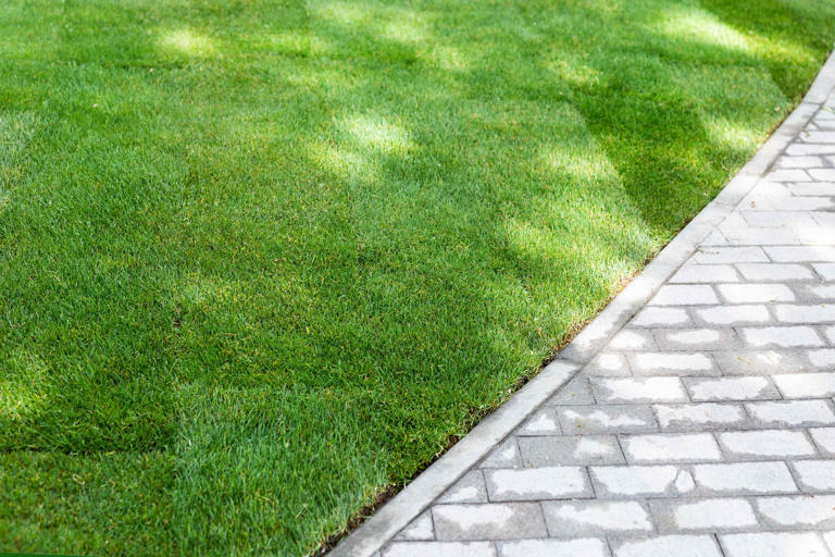 The Best Time to Edge Your Lawn for Healthier, Cleaner Grass, According ...