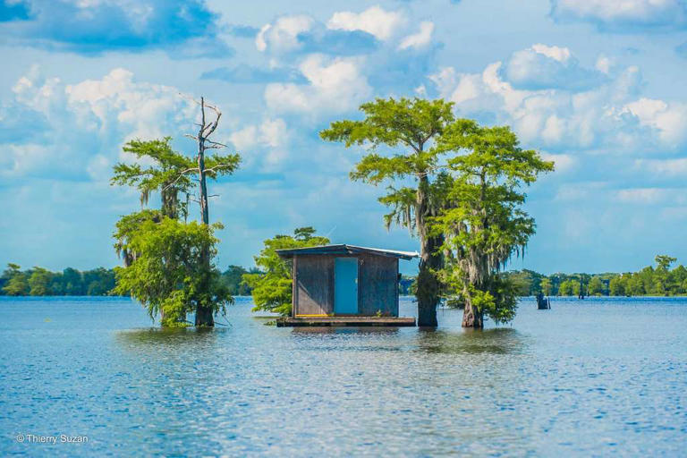 Louisiane : la terre de toutes les rencontres