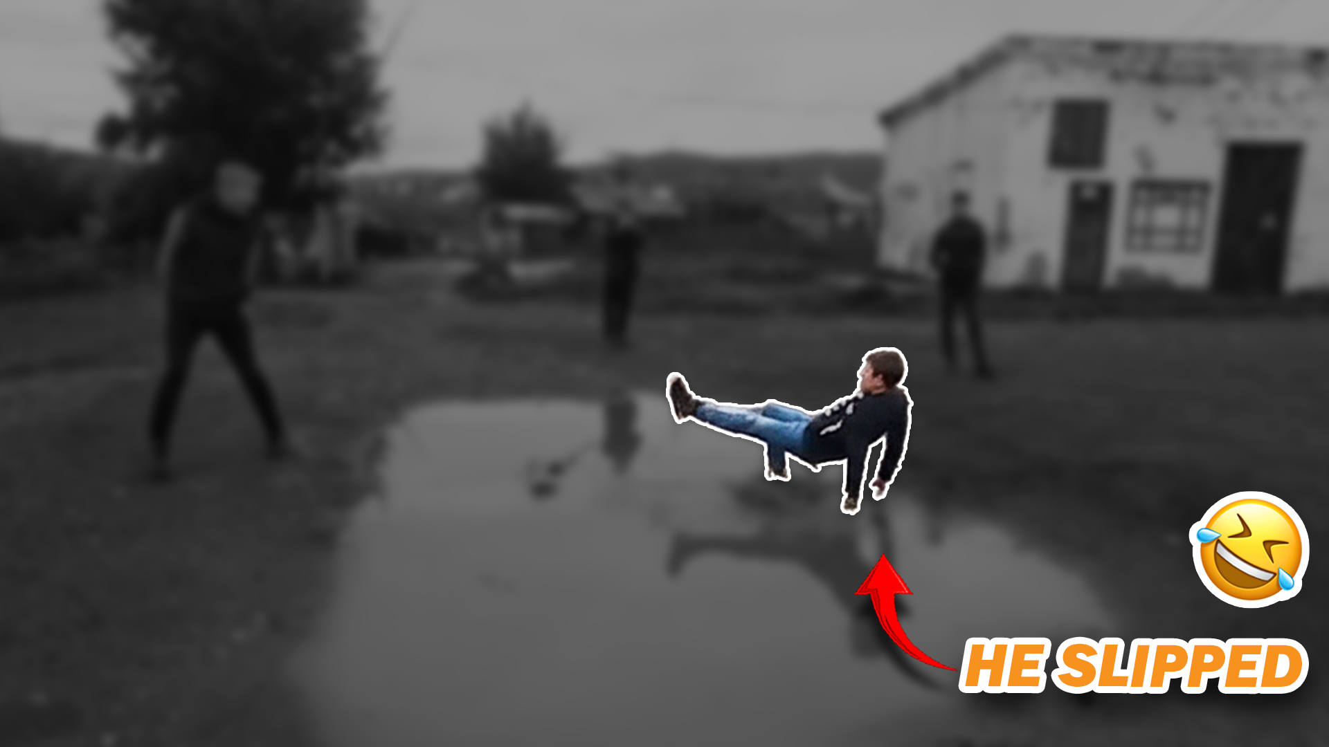 Compilation of Random Funny Videos