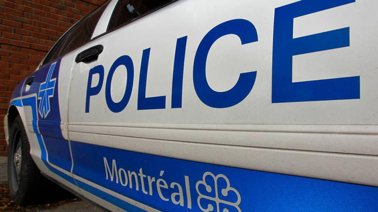 Montreal police arrest seven suspects in Cabot Square drug clampdown