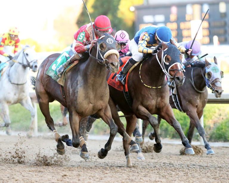 'The Long-Range Goal': Keen Cat Returns In Claiming Crown Rapid Transit ...