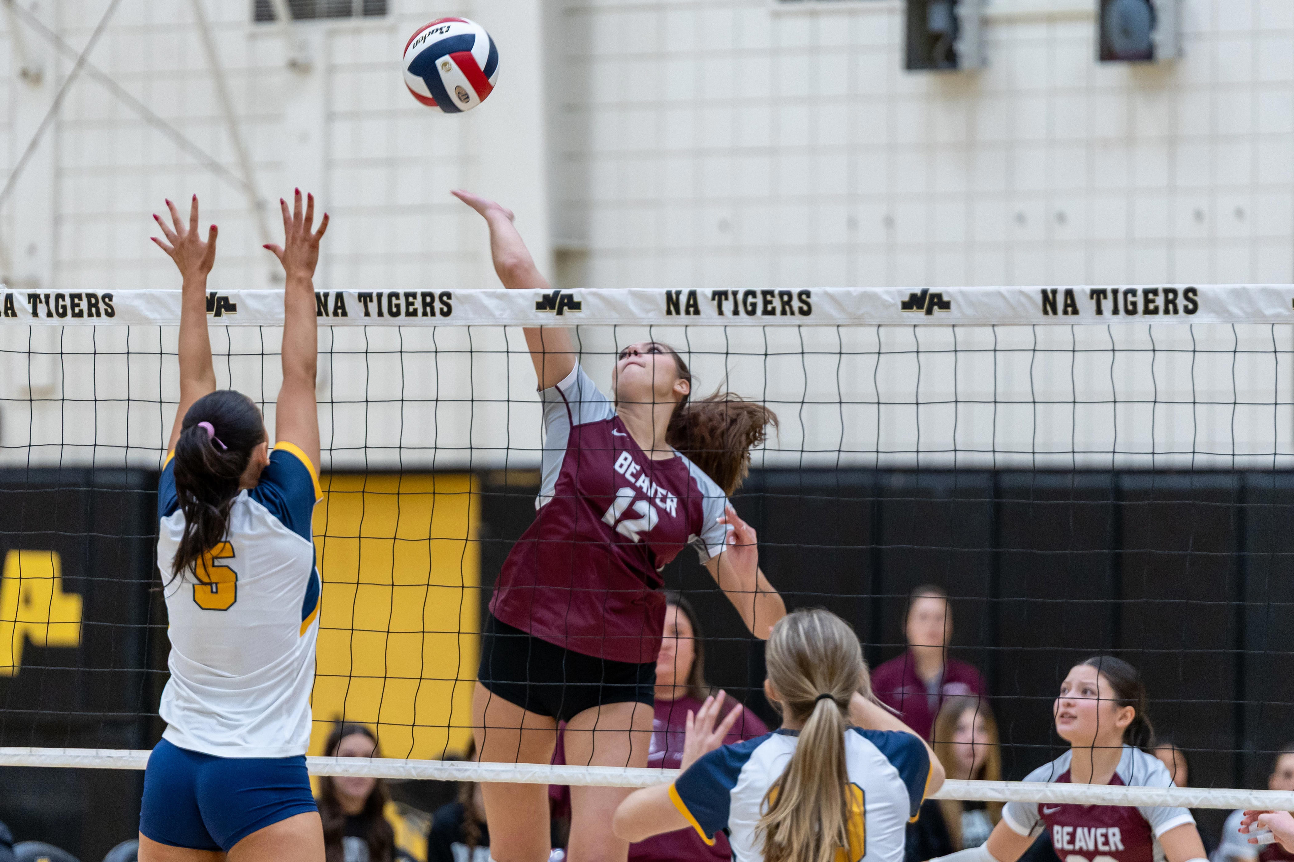 Beaver Area knocks off Mars in the PIAA girls high school volleyball ...