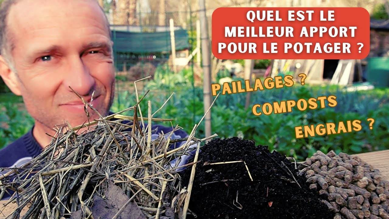 Compost, engrais ou paillage : que faut-il vraiment pour un potager au ...